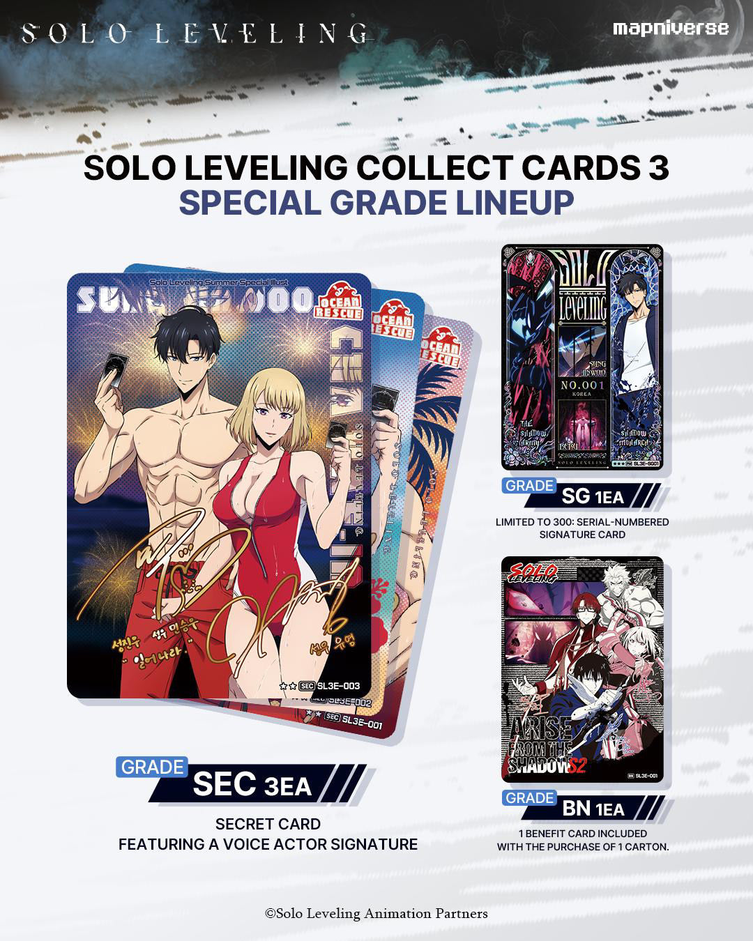 CCN Cards - Dein Onlineshop für TCG Produkte